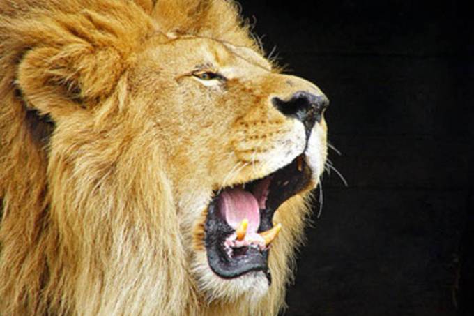 Isenção de IR para quem ganha até R$ 5 mil entra em vigor - Fandango ...