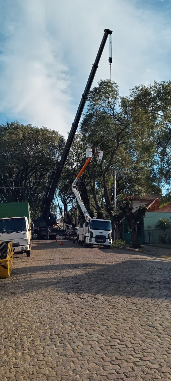 Secretaria Municipal do Meio Ambiente amplia ações ambientais no ...
