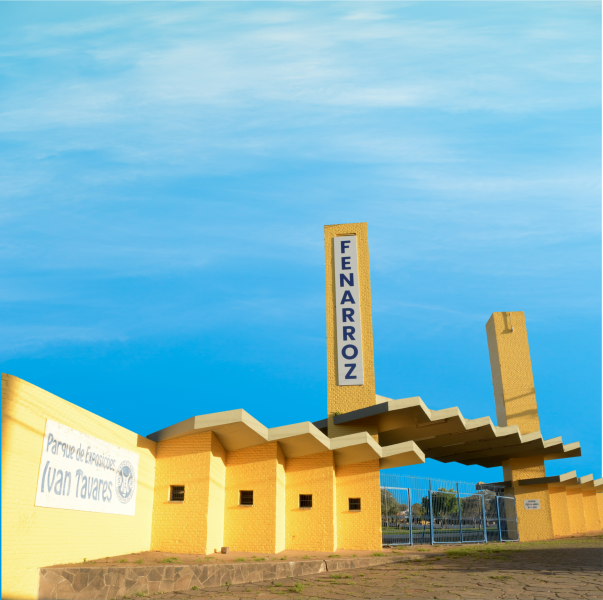 Presidente da Fenarroz define cargos de vice presidentes e diretores ...