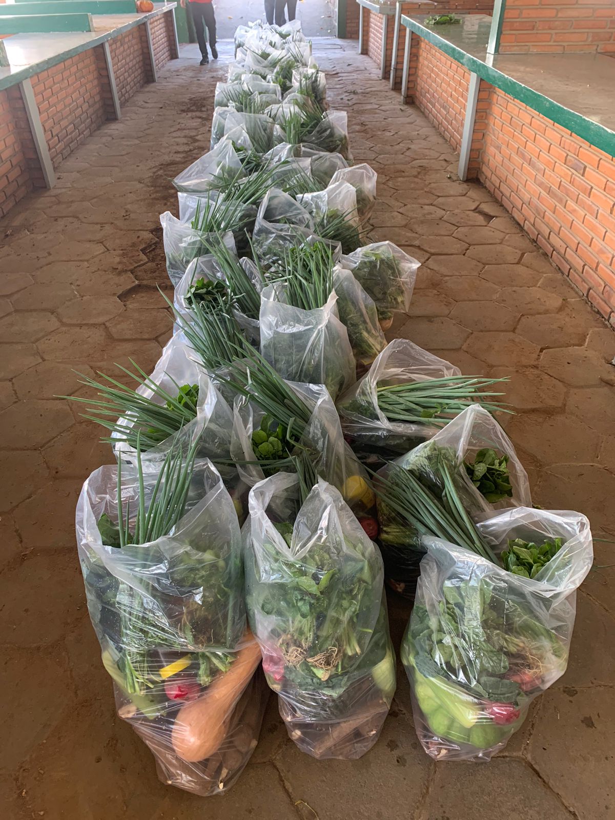 Secretarias entregam mais alimentos do programa PAA | radiofandango.com