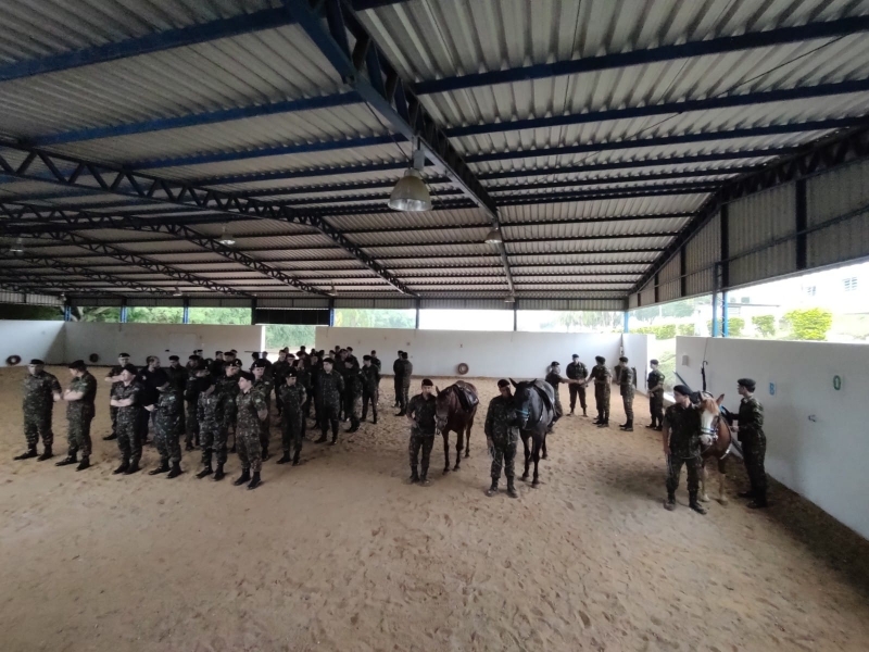 Associação Amigos da Equoterapia receberá R$ 112 mil da Corsan - Rádio ...