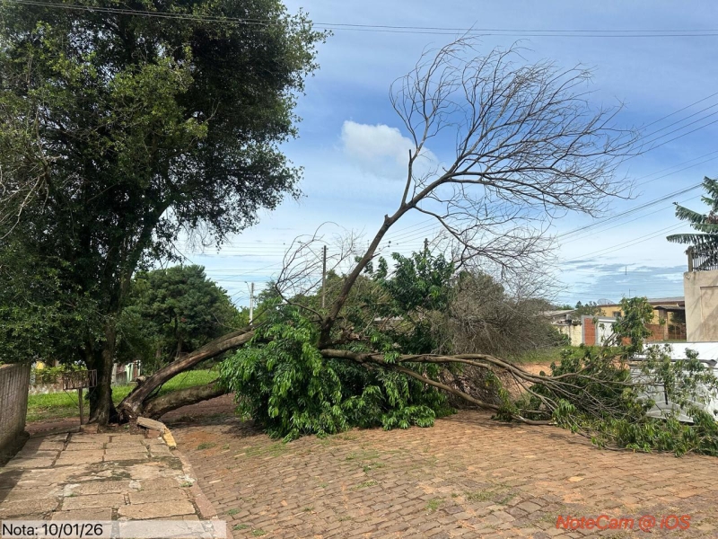 Defesa Civil e secretarias atendem ocorrências após chuvas intensas em ...