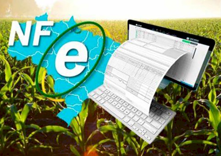 Fim do Talão do Produtor : Nota Eletrônica será obrigatória a partir ...